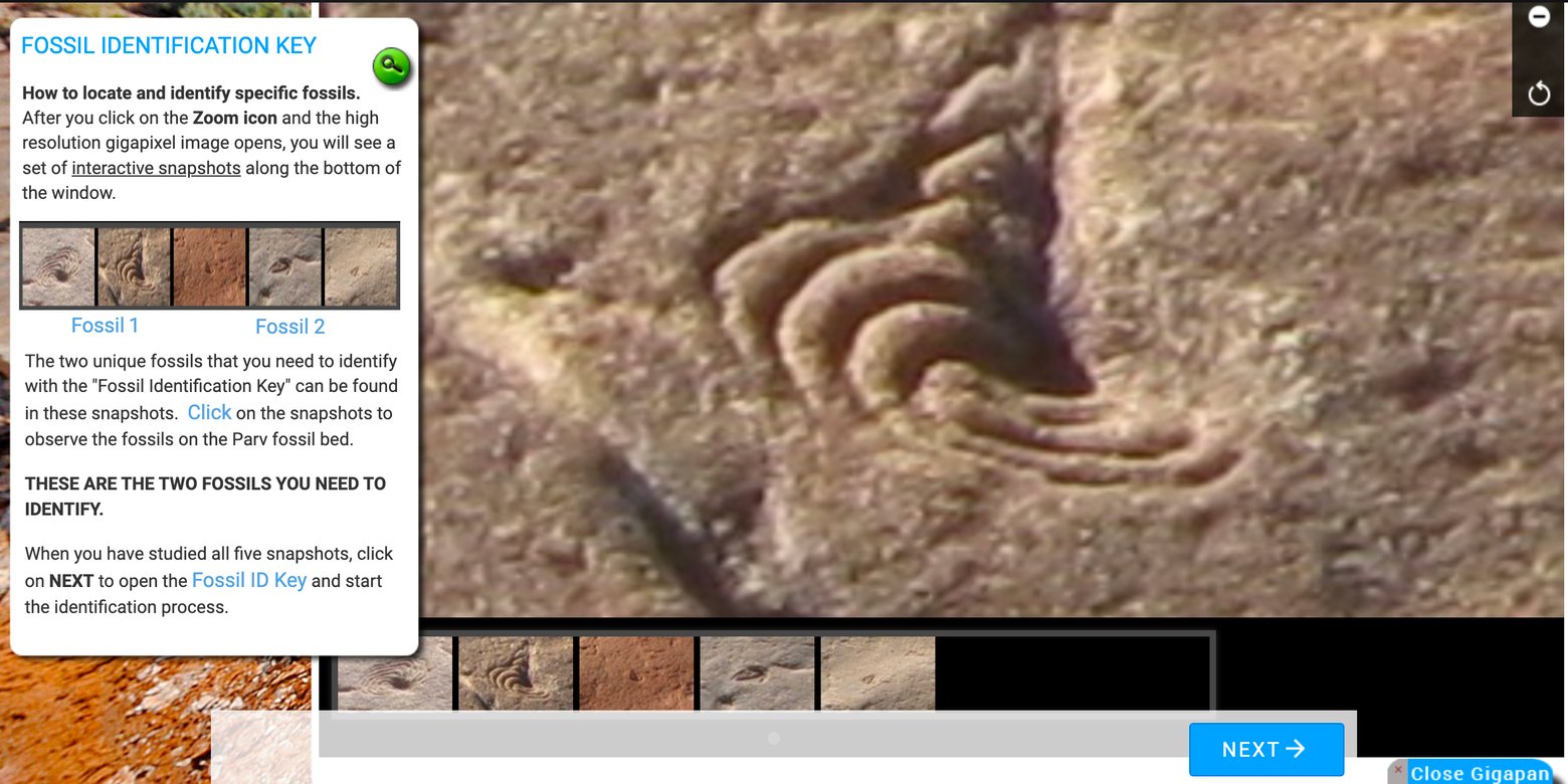 BioBeyond Unit 4: Time Traveler's Guide to Life on Earth